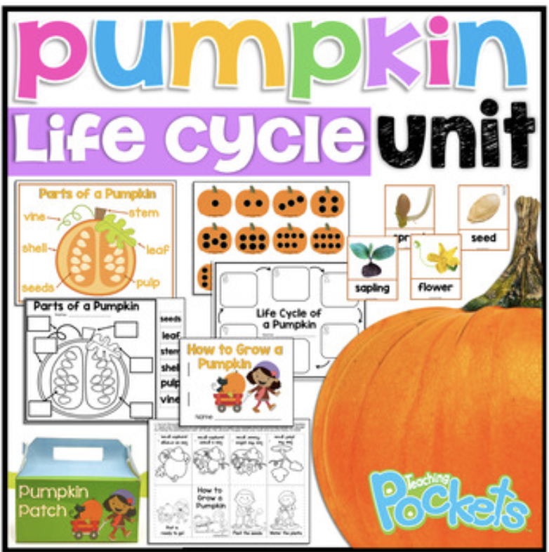 Pumpkin Life Cycle | Fall & October Pumpkin Theme | Pumpkin Book & Box ...