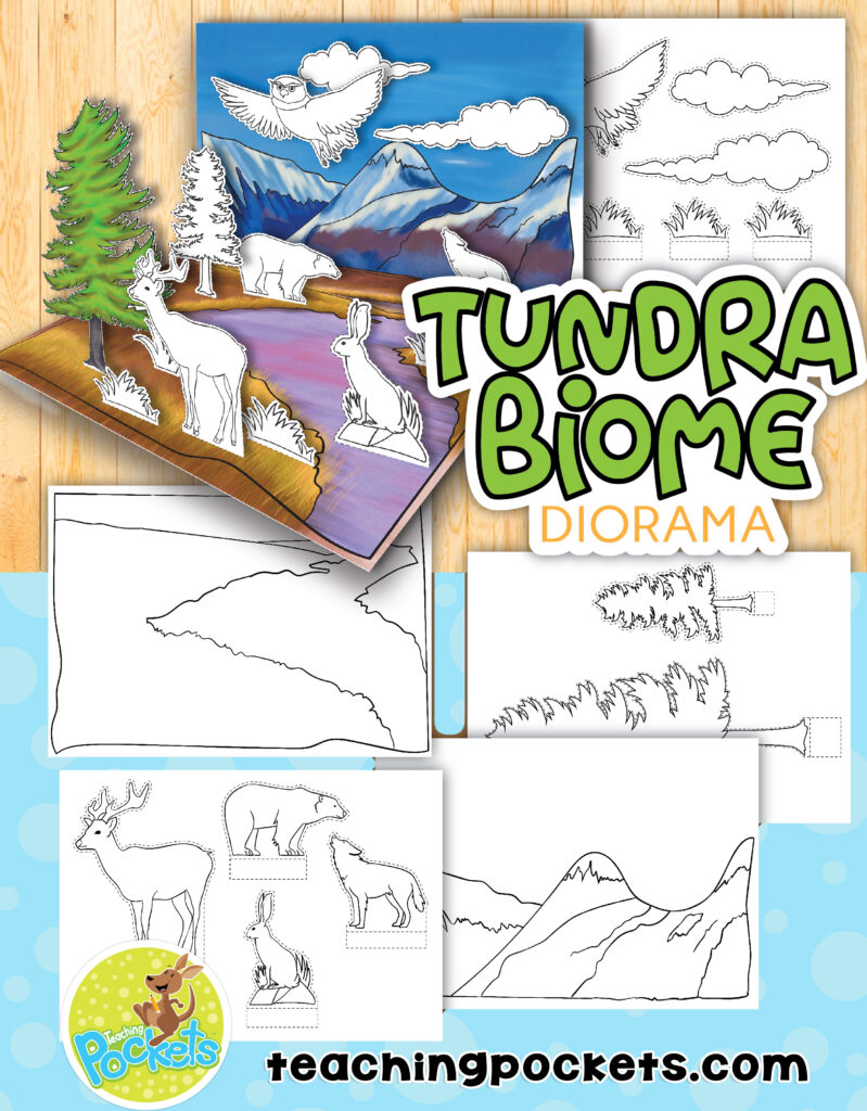 Craft Dioramas Ideas & Printables for Kids – Teaching Pockets