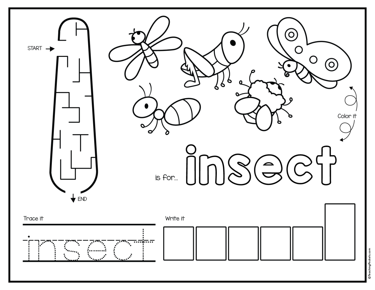 Free Spring Preschool Activity Pack for Preschoolers – Teaching Pockets