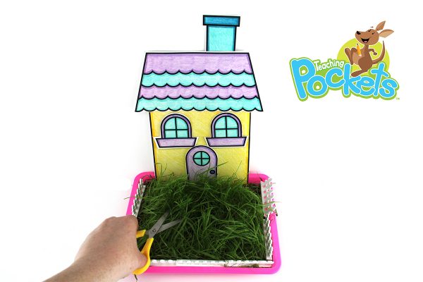 Plant Lifecycle Activity: Grow a Grass House Activity – Teaching Pockets